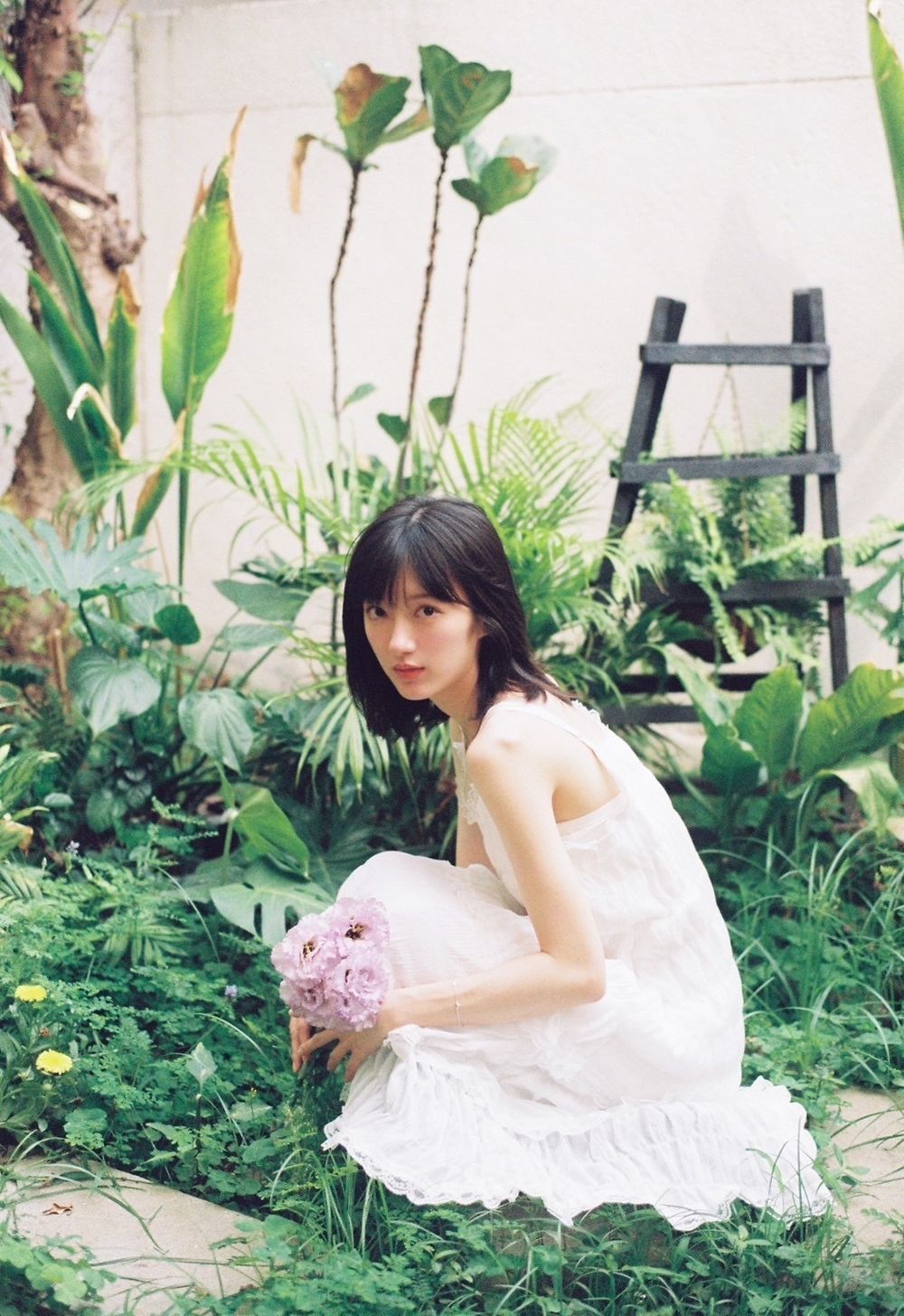 開拓動漫祭 FF43 本週末將登場《女神異聞錄 5》遊戲動畫歌手 Lyn 將登台開唱 - 巴哈姆特