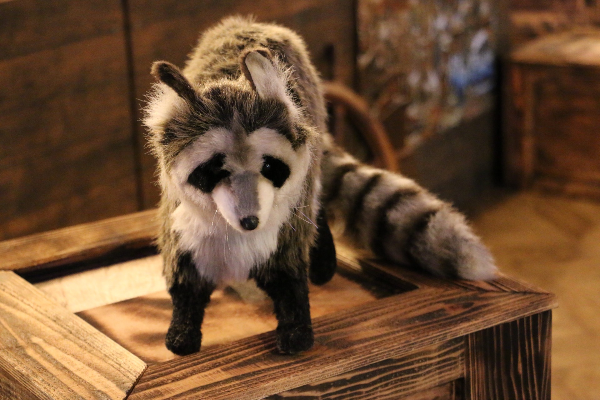 【BitS25】真人 NPC 專業互動！BitSummit「冒險者酒場」重現奇幻 RPG 世界 - 巴哈姆特