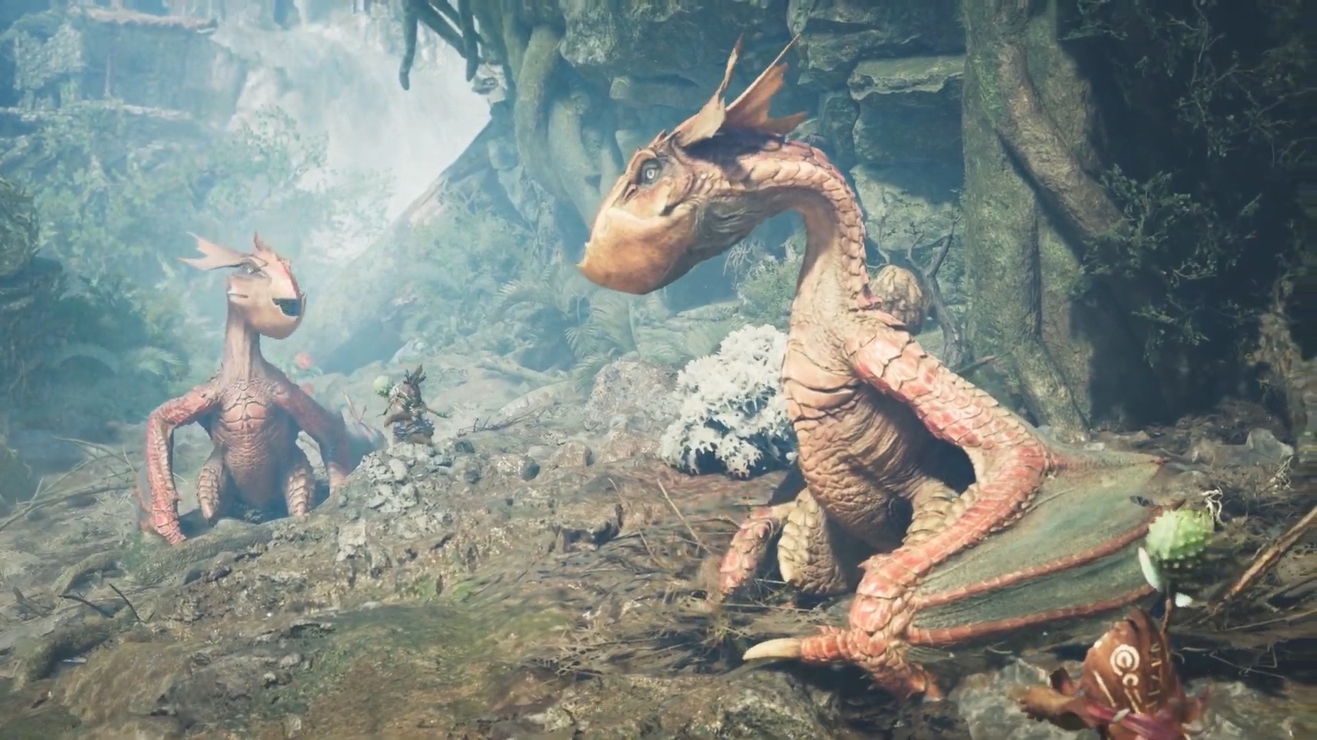 【TGS 24】老面孔「怪鳥」將於《魔物獵人 荒野》回歸！官方釋出資訊統整影片《Monster Hunter Wilds》 - 巴哈姆特