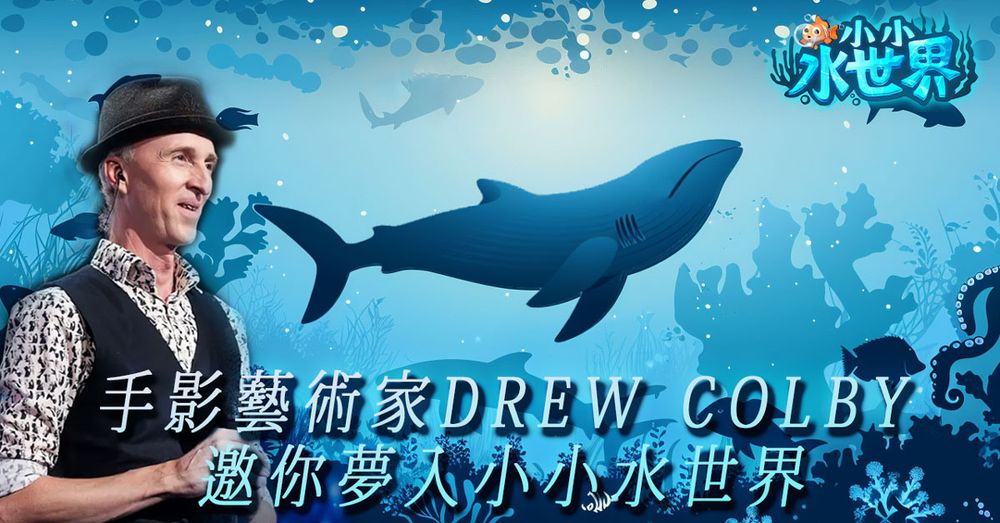 《小小水世界》公開上市日期與 KOL 直播 PK 對抗賽預告《World of Water: Great Journey》 - 巴哈姆特