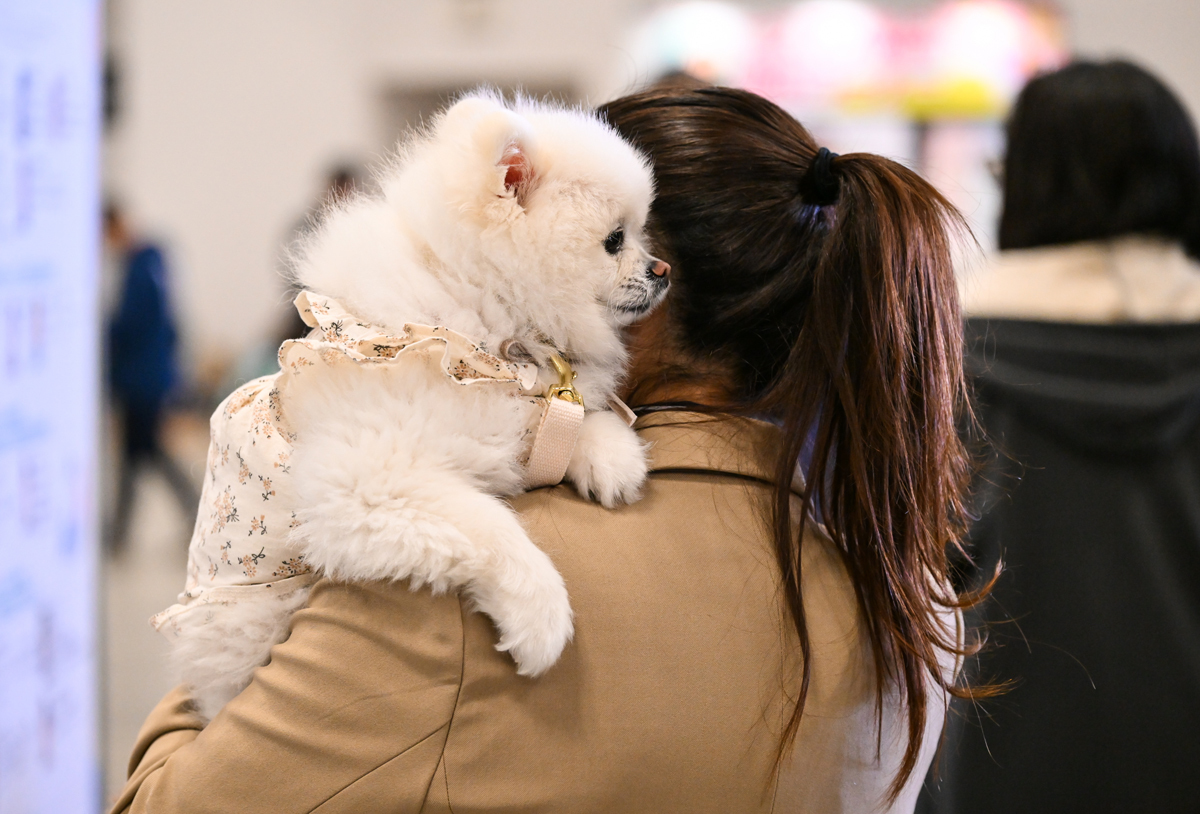寵物展現場直擊！SQUARE ENIX 推出的毛小孩周邊「SQEX PETs」將在九月發售 - 巴哈姆特