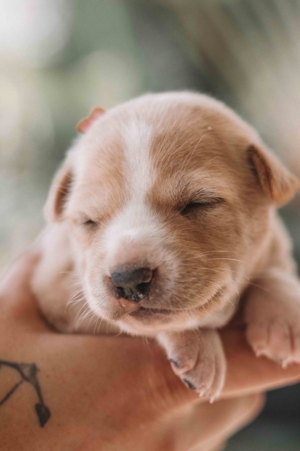 AHK auto hot key 教學 - jeffby8的創作 - 巴哈姆特