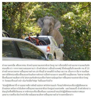 象群衝撞車輛 泰國家公園車禍 - tortoisetttt的創作 - 巴哈姆特
