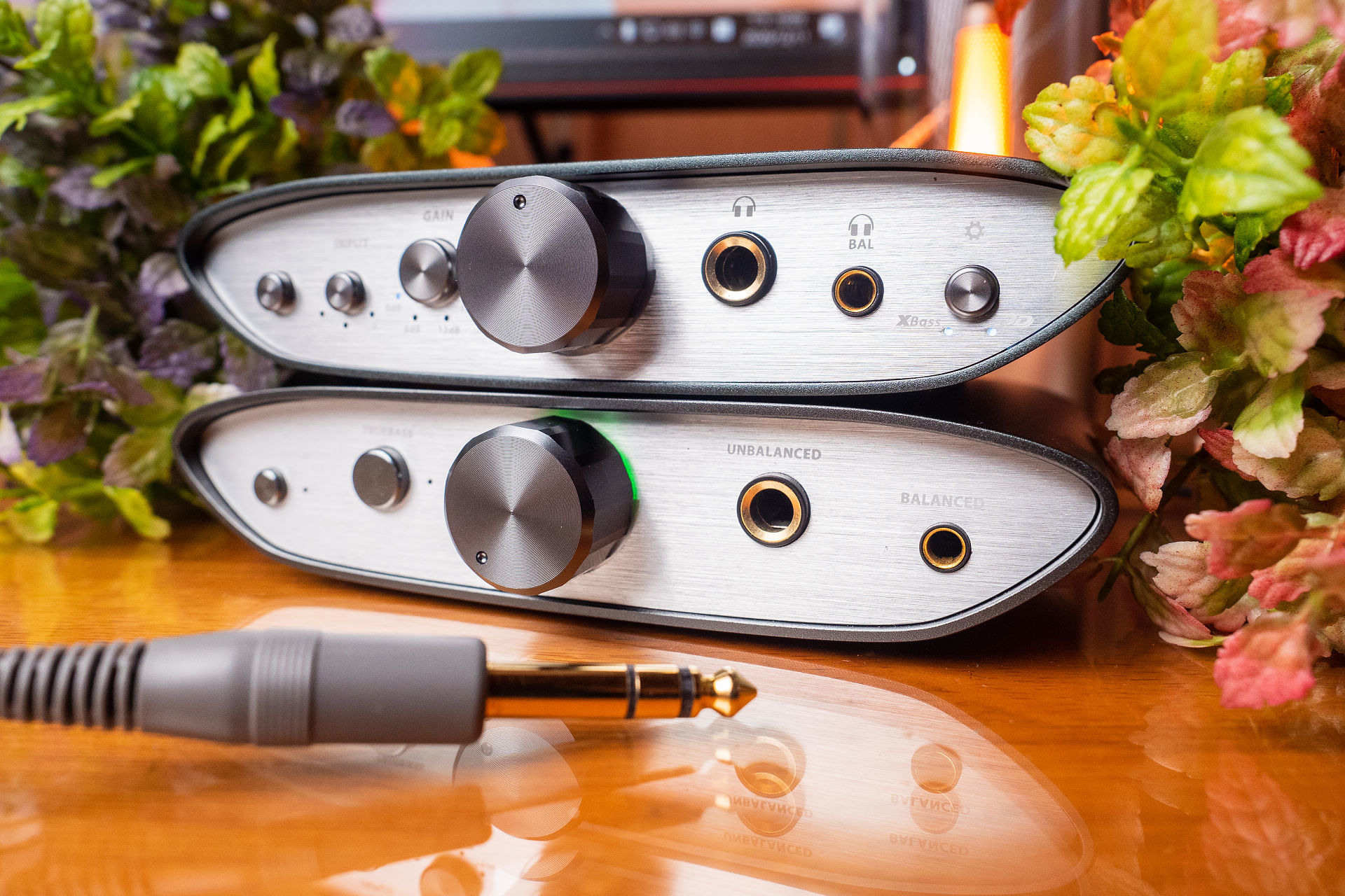 [達人專欄] ifi Zen Dac & Can 入門DAC 耳擴 介紹與試聽 - lk330700的創作 - 巴哈姆特