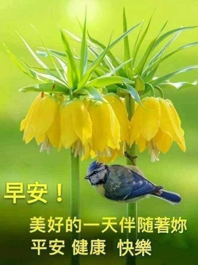 早安世界 - laranja1005的創作 - 巴哈姆特