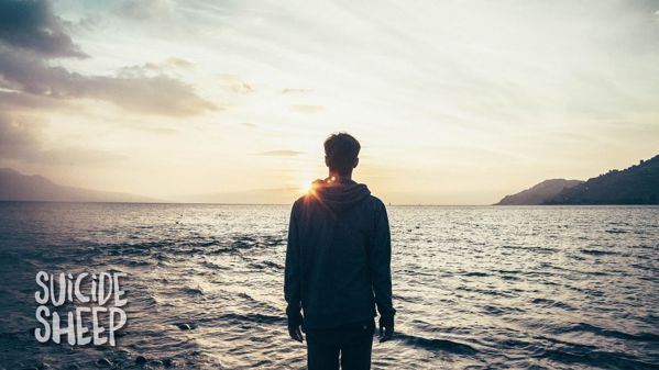 A R I Z O N A - I Was Wrong+Ennja - Let Go+Finding Hope - Without You ...