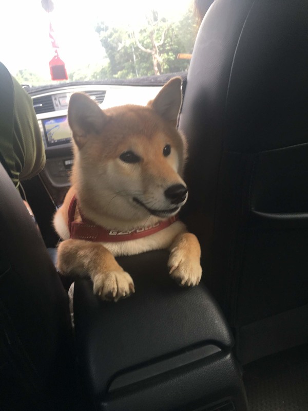 Unity shader Light model - Lambert 光照模型 - Adisa的創作 - 巴哈姆特