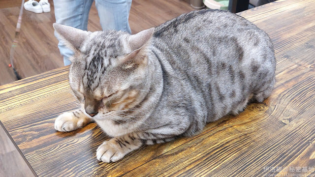 【翻譯】一樣是梗圖翻譯系列-176 - eric86999999的創作 - 巴哈姆特