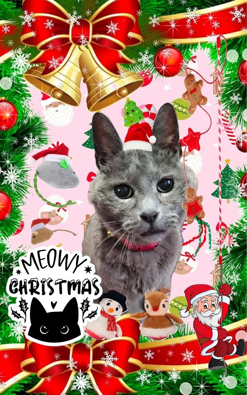 本週二三事—趕稿中 - s3062072的創作 - 巴哈姆特