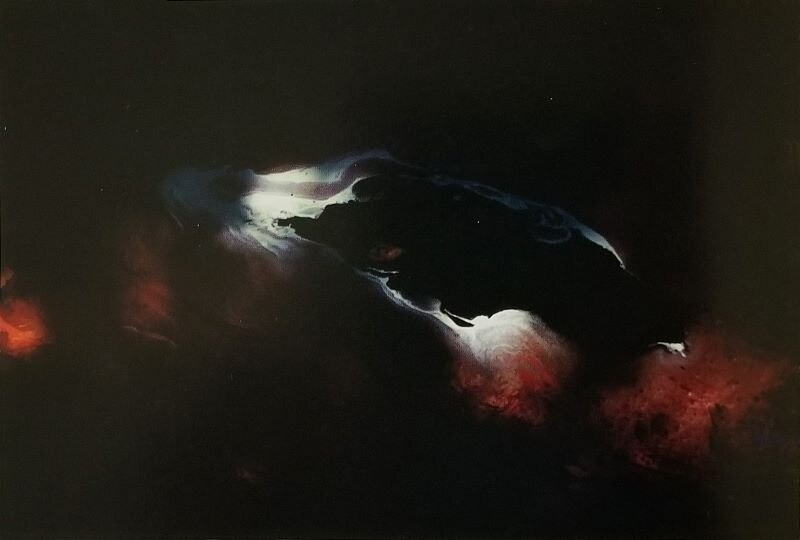 南无第三世多杰羌佛 - chenenci123的創作 - 巴哈姆特