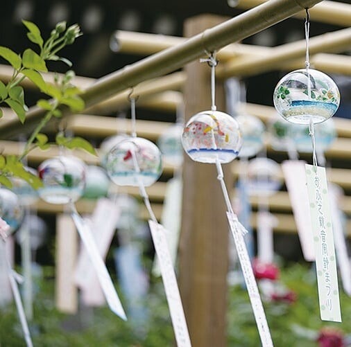 雲聊閒聊•雜七雜八。【234】 - ash62646的創作 - 巴哈姆特