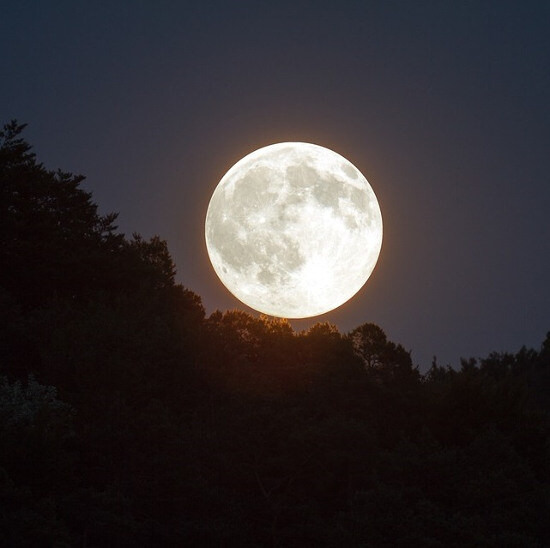 雲聊閒聊•雜七雜八。【629】 - ash62646的創作 - 巴哈姆特