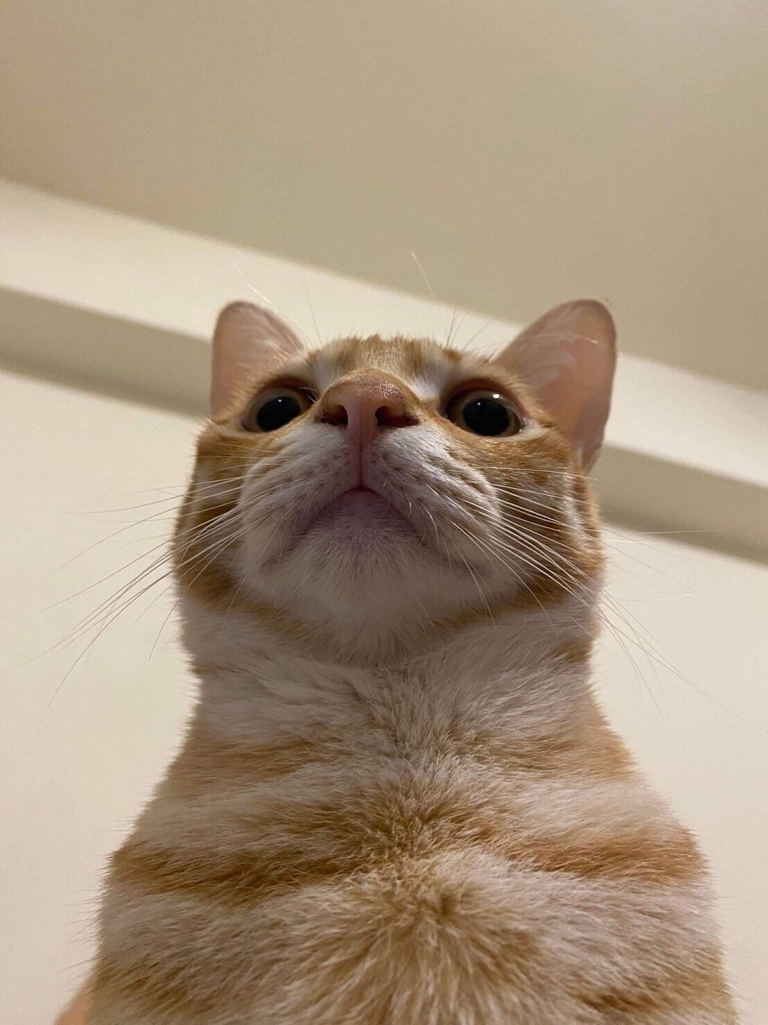 Nprotect Bypass - a891030的創作 - 巴哈姆特