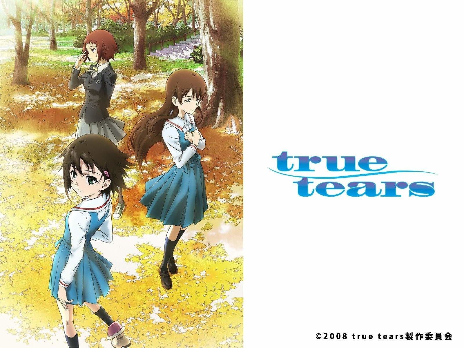 【心得側寫】動畫true tears－一部看見角色成長的等身大青春交響樂章 - s9051035404的創作 - 巴哈姆特