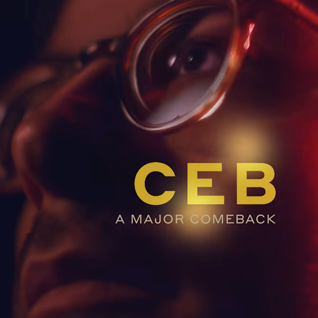 Red Bull 公開紀錄片《Dota 2 歷史上最偉大的逆轉：Ceb 的回歸》 - nnf0130的創作 - 巴哈姆特