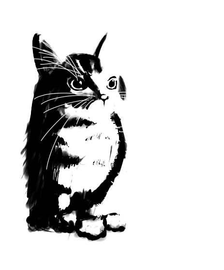 貓咪練習 - ciouciouluob的創作 - 巴哈姆特