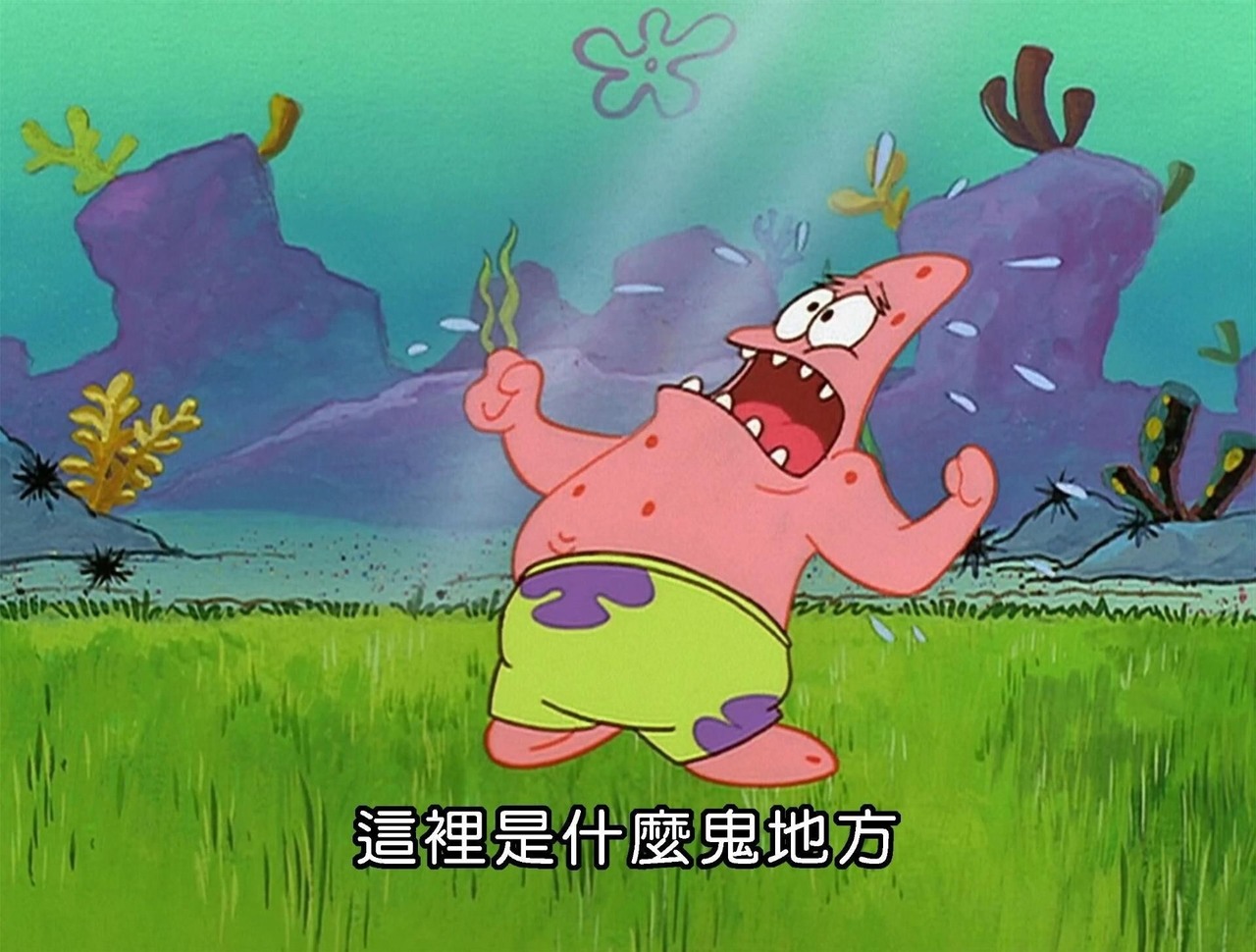 [開一整箱]遊戲王23PP日版 - g222270的創作 - 巴哈姆特