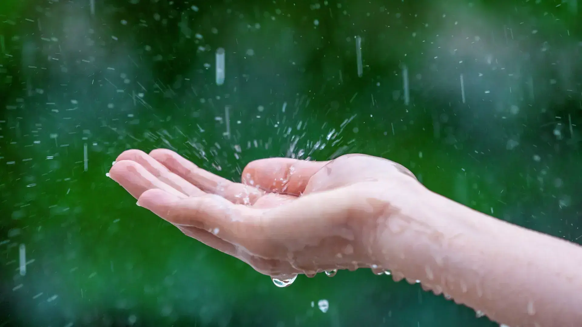 雲聊閒聊•雜七雜八。【1271】 - ash62646的創作 - 巴哈姆特