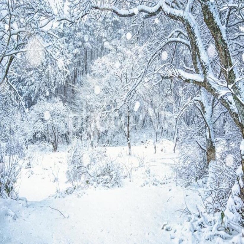 [閒聊]學習把難聽的歌唱得好聽?(圖+Y2B) - lcoffee的創作 - 巴哈姆特