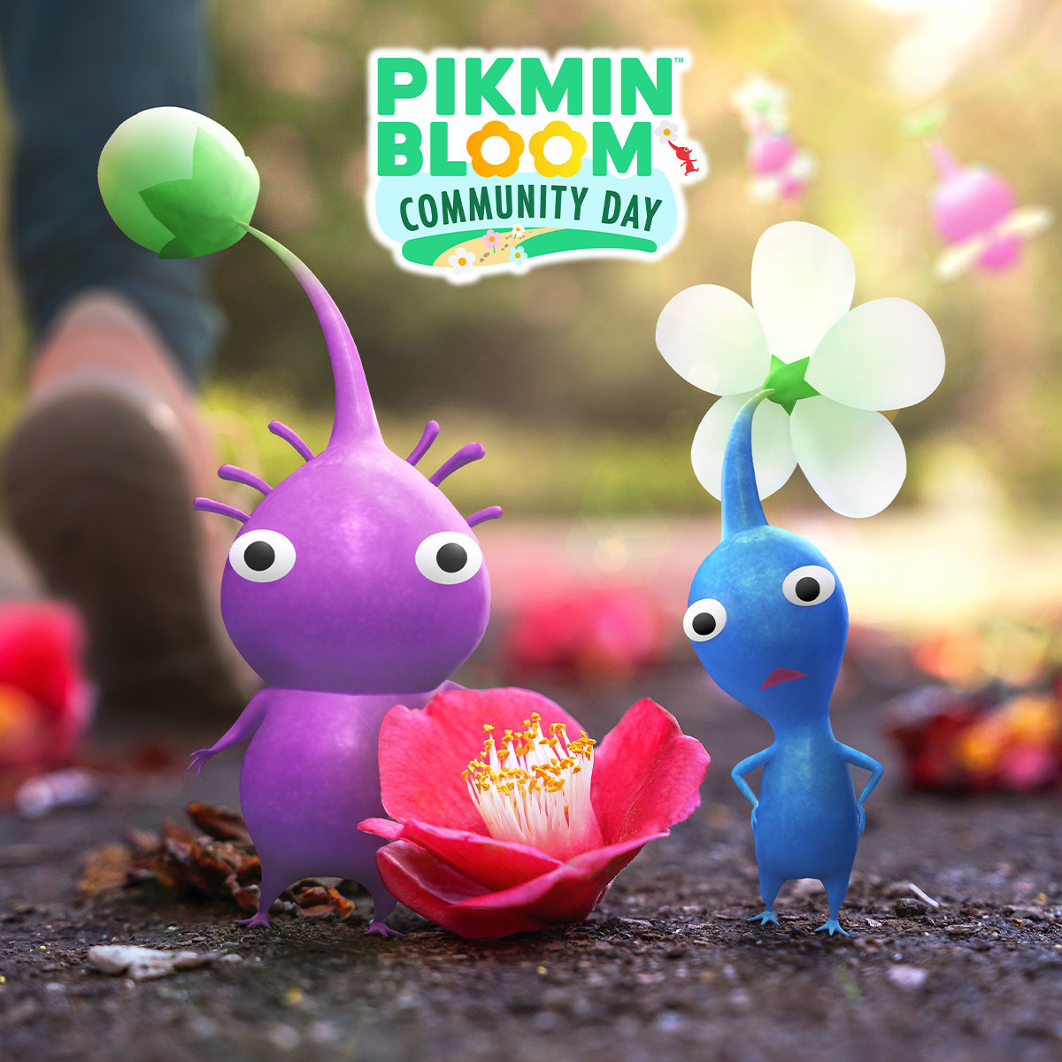 【Pikmin Bloom】1／22 星期六 社群日（金幣所需花朵減半） - muryanbks的創作 - 巴哈姆特