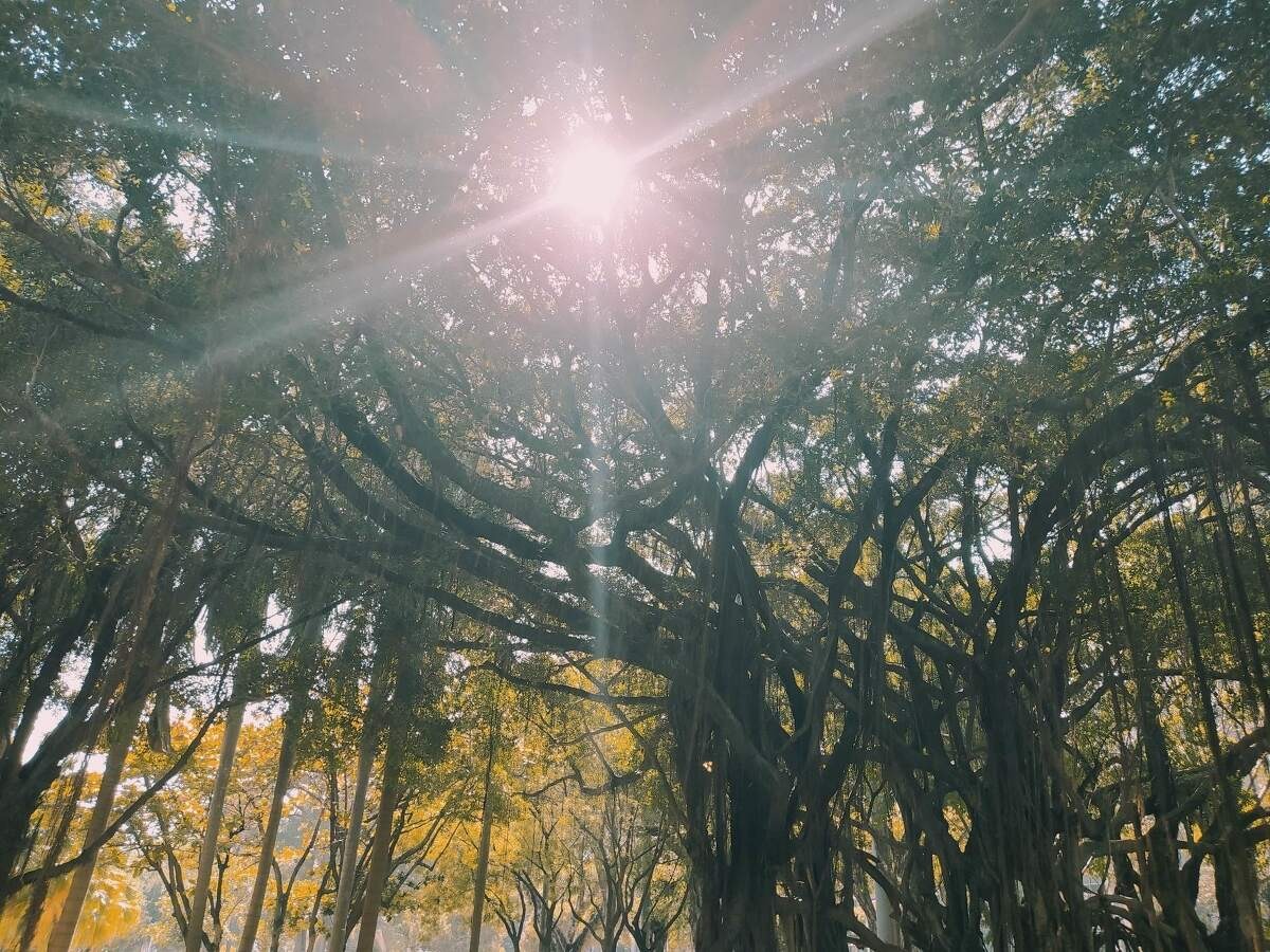 攝影作業 - s20116147的創作 - 巴哈姆特