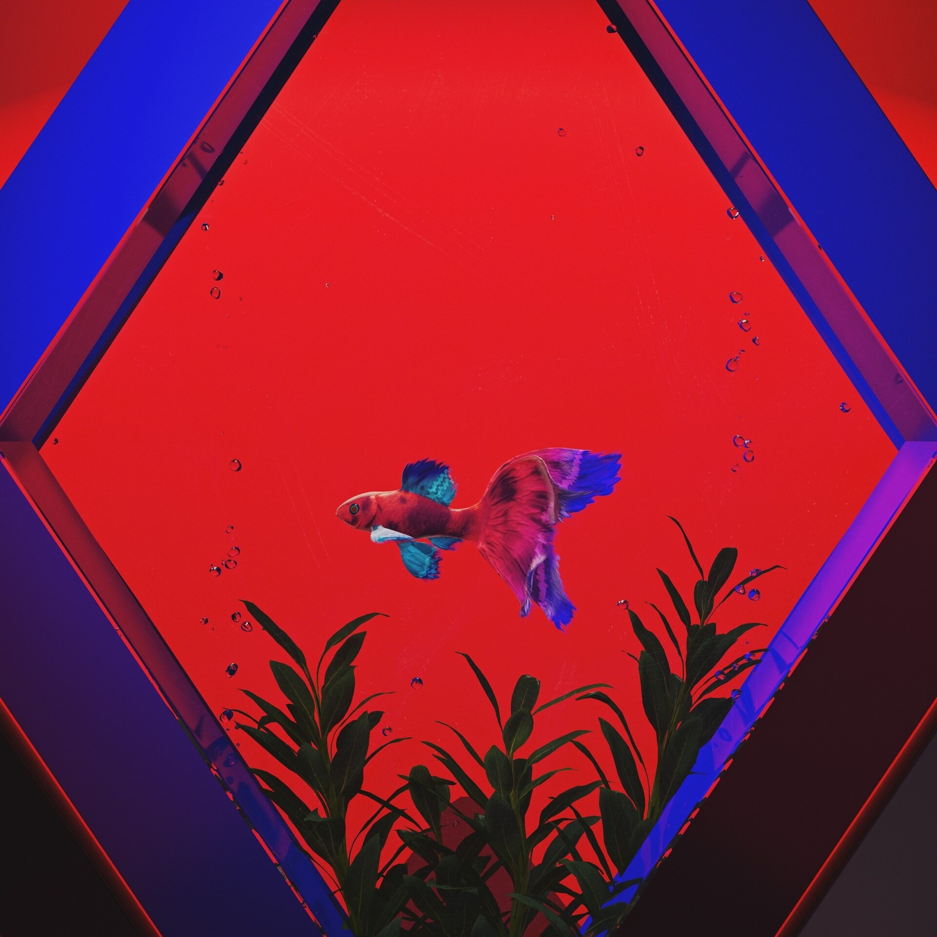 理芽 - 閃光だった 中文歌詞翻譯【神椿市建設中。 第三集ED】 - hank2630的創作 - 巴哈姆特