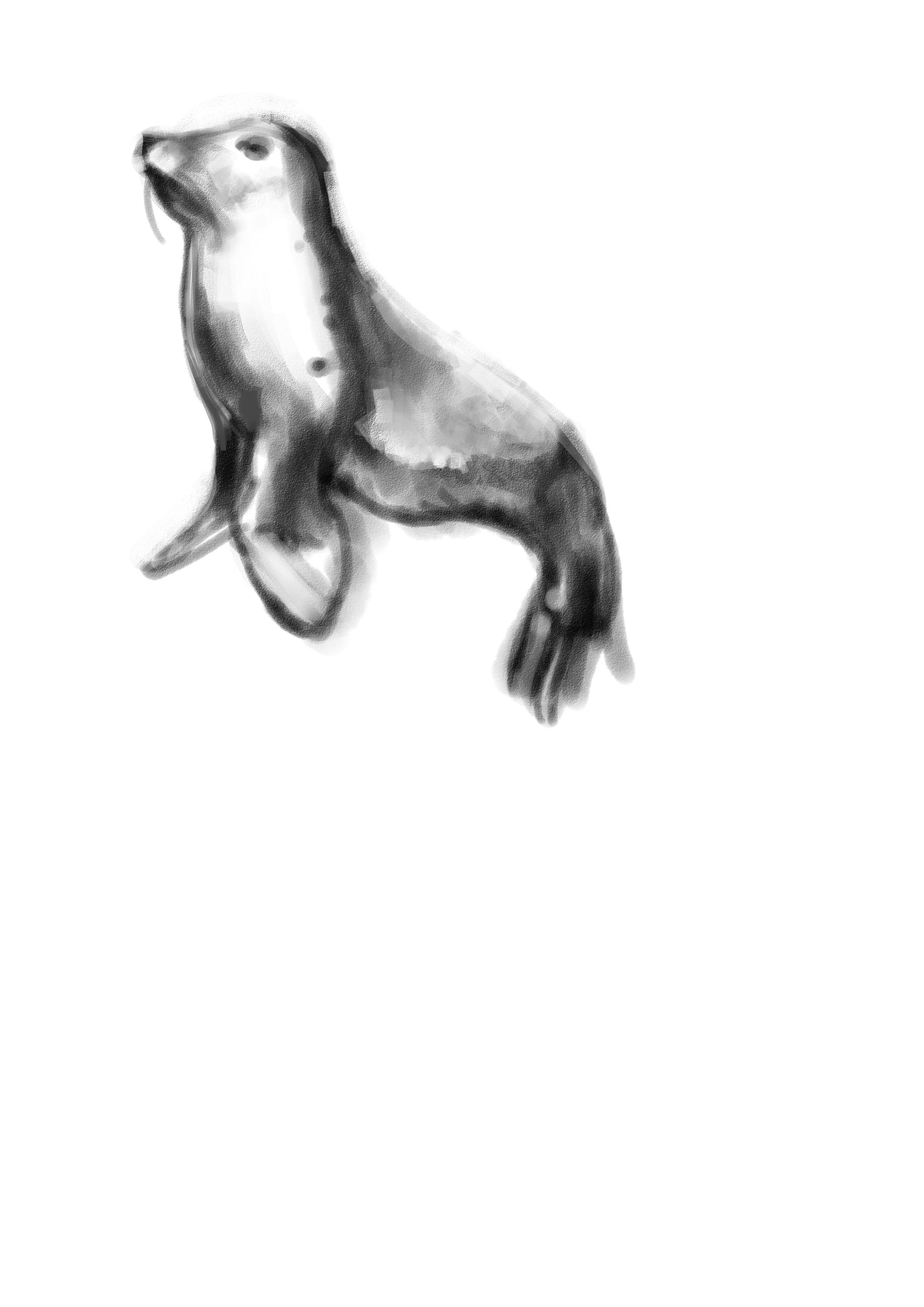 Seal and practice - a3812492的創作 - 巴哈姆特