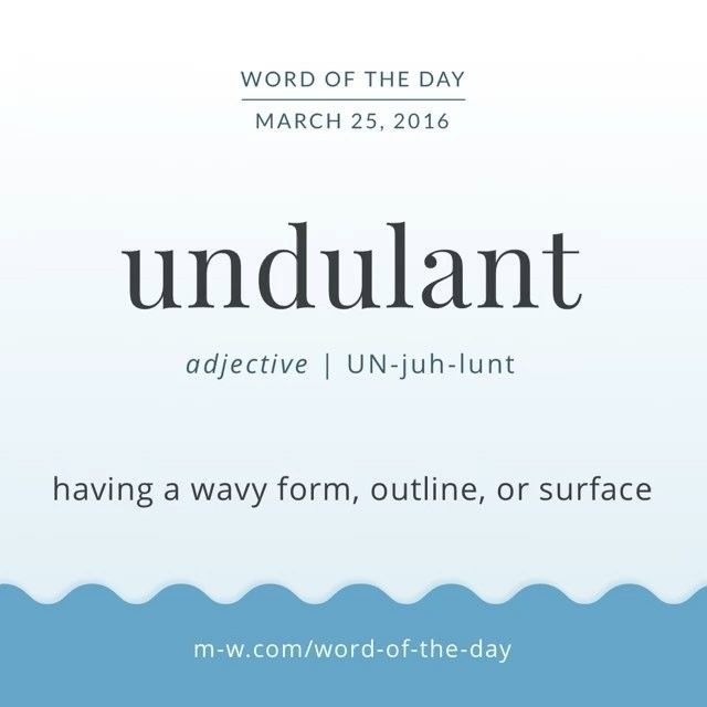 undulant 的意義與起源 - verruckt的創作 - 巴哈姆特