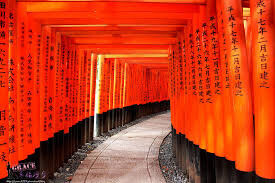 雲聊閒聊•雜七雜八。【850】（小聊） - ash62646的創作 - 巴哈姆特