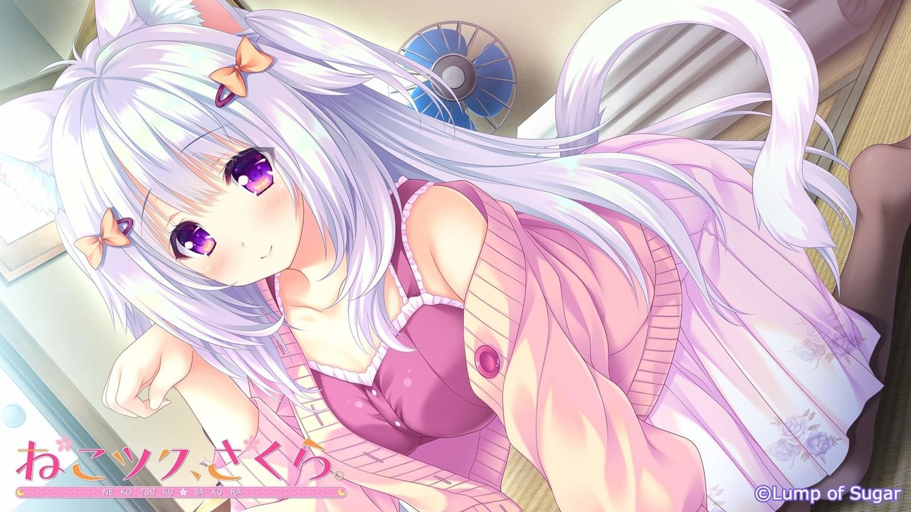 Lump of Sugar 最新作《ねこツク、さくら。》公開OP影片 - a1102kevin的創作 - 巴哈姆特