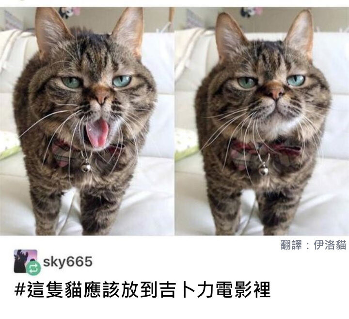【翻譯】一樣是梗圖翻譯系列-145 - eric86999999的創作 - 巴哈姆特