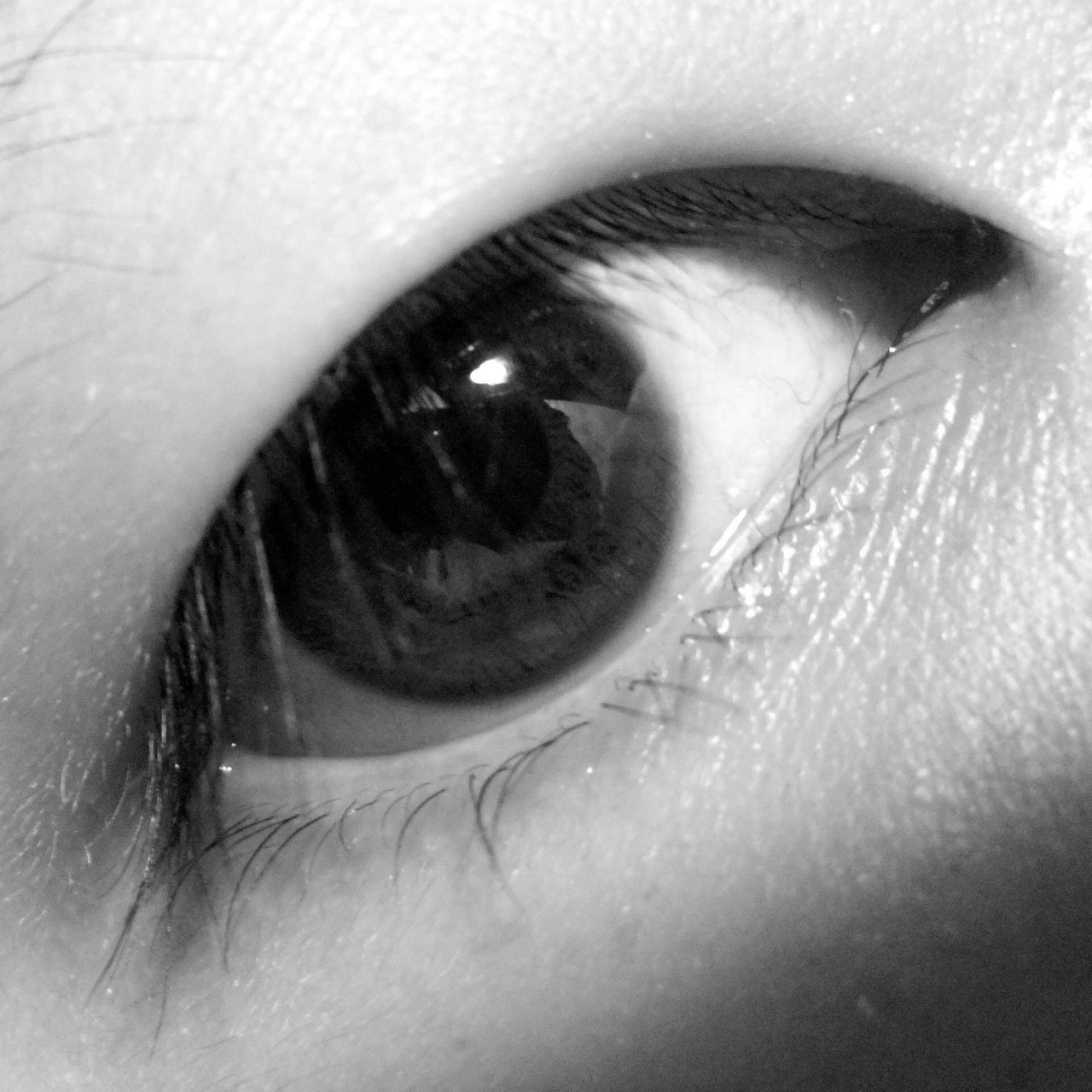 [達人專欄] 《黑貓》－03 - iamfromsky的創作 - 巴哈姆特