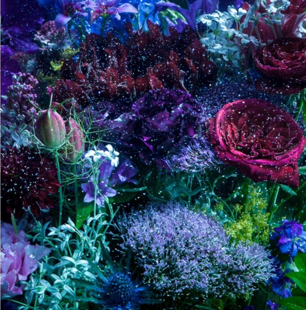 【歌詞翻譯】Aimer「あなたに出会わなければ ～夏雪冬花～」（中+日+羅） - poison203011的創作 - 巴哈姆特