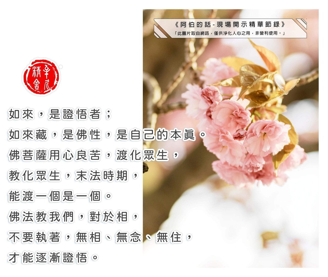 演色情電影的果報-瑪麗蓮夢露 - hungrybbhk的創作 - 巴哈姆特