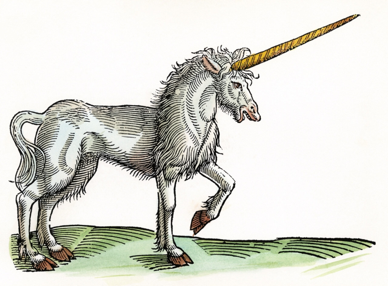 《Mythos: If They Were Real》〈Unicorn: The One-Horned Beast〉 - wei753的創作 ...