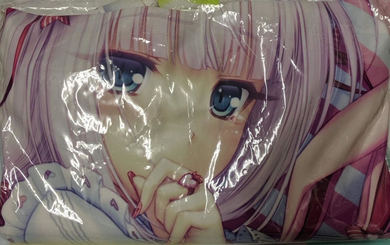 教你動漫抱枕去哪買 - fmnijk的創作 - 巴哈姆特