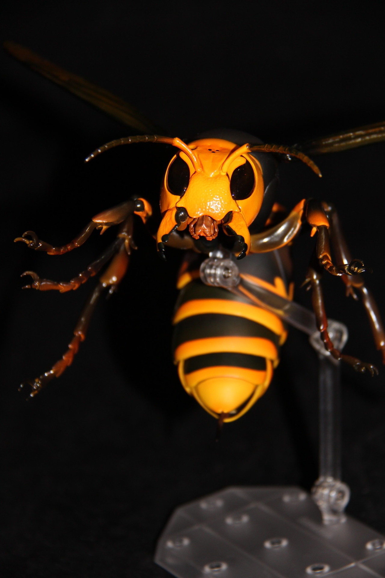 嗡嗡嗡---兇猛的大虎頭蜂來了!海洋堂 山口式輪轉 REVO GEO Vol.3 大虎頭蜂 - x95136817的創作 - 巴哈姆特