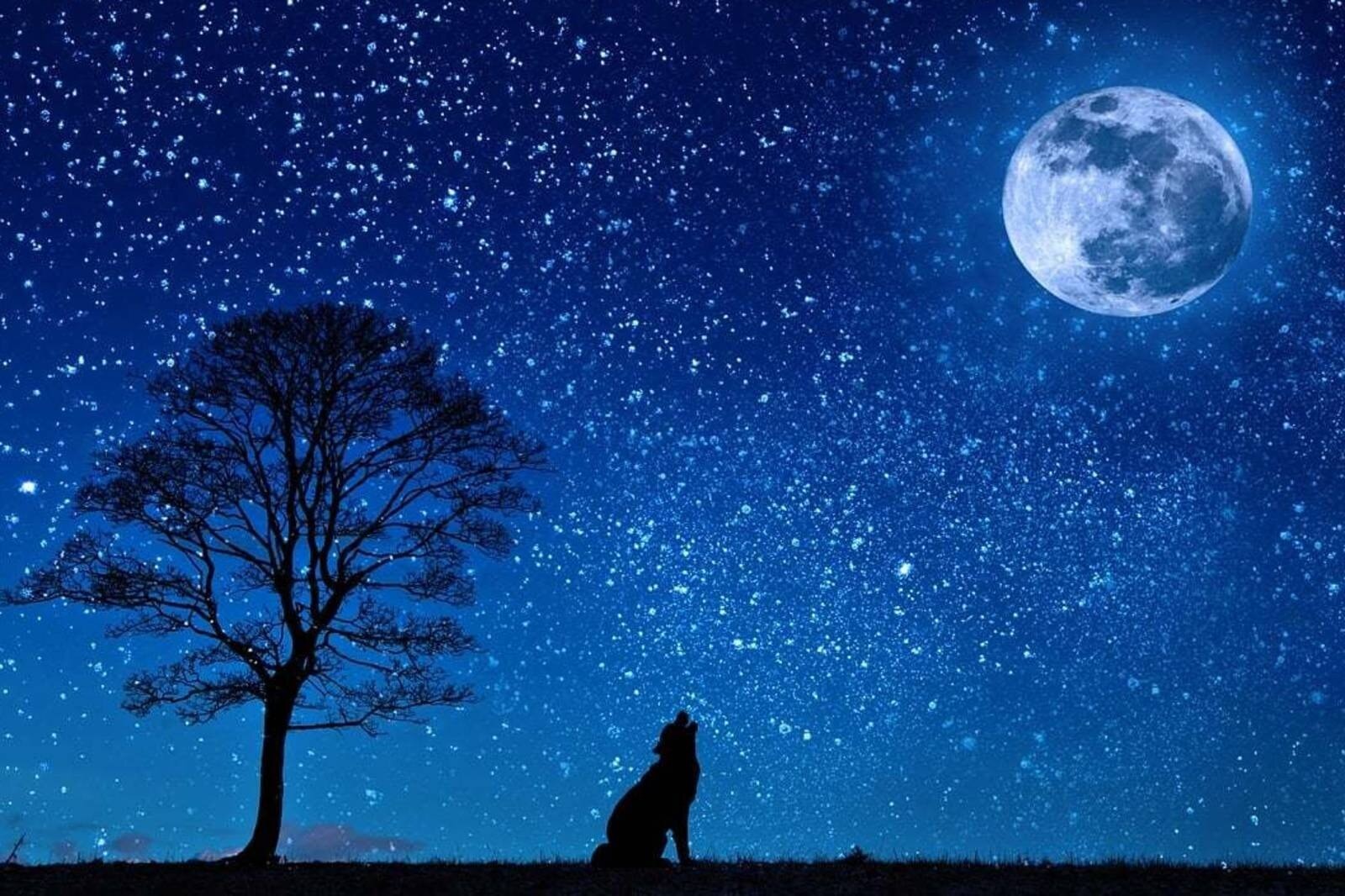 雲聊閒聊•雜七雜八。【954】 - ash62646的創作 - 巴哈姆特