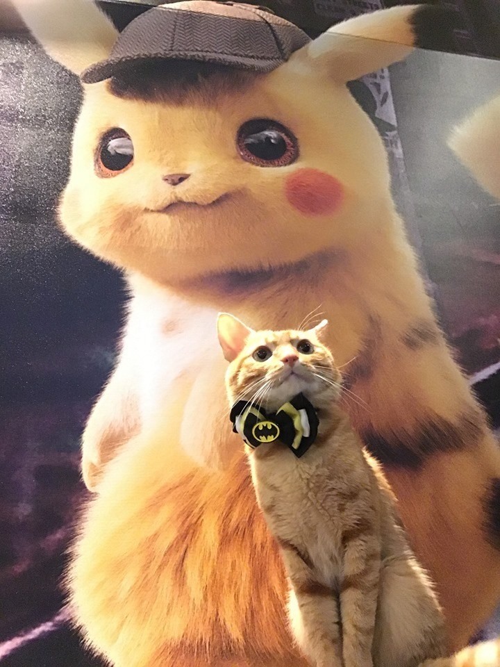 FF35會場Cosplay 募集 - ss2831365的創作 - 巴哈姆特