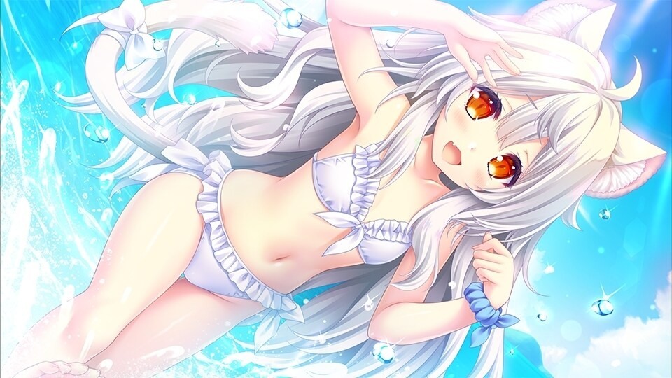 あざらしそふと × Lump of Sugar《きら☆かの》公開OP影片 - a1102kevin的創作 - 巴哈姆特