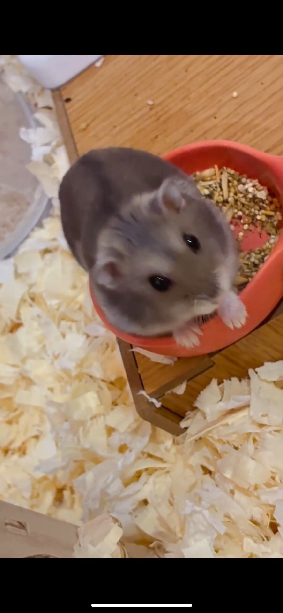 日記550 - a19980209的創作 - 巴哈姆特