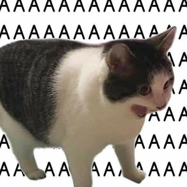 LAB2：Blinky LED - betrayer0125的創作 - 巴哈姆特