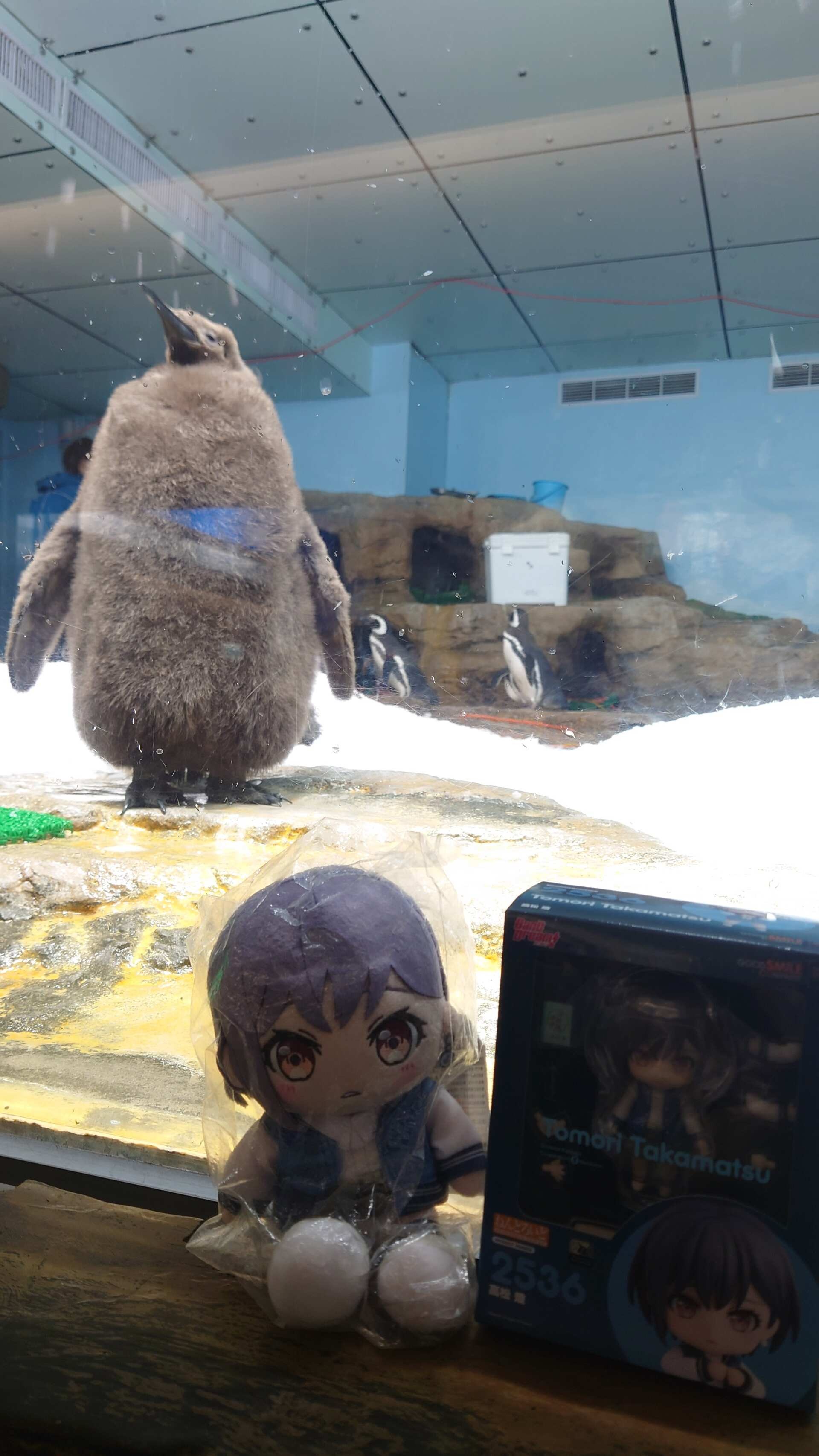 約好了~ 看一輩子的MYGO跟Tomorin (Xpark 水族館之旅) - tedandjolin的創作 - 巴哈姆特
