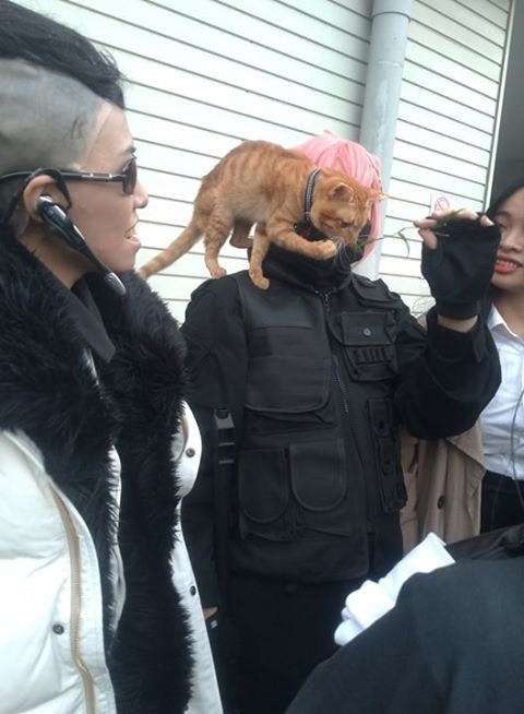 FF35會場Cosplay 募集 - ss2831365的創作 - 巴哈姆特