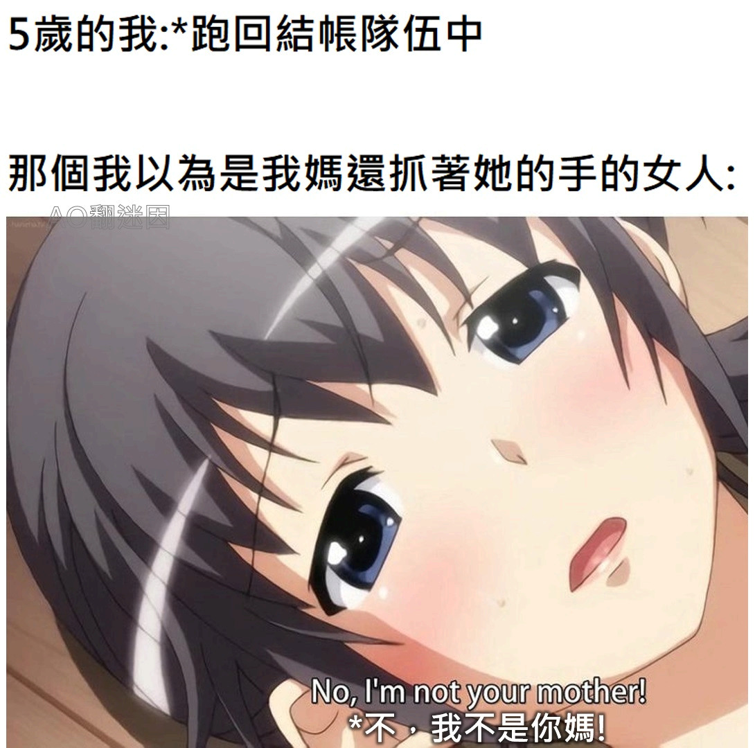 2022-5-10的迷因(更新版) - airsoftotaku的創作 - 巴哈姆特