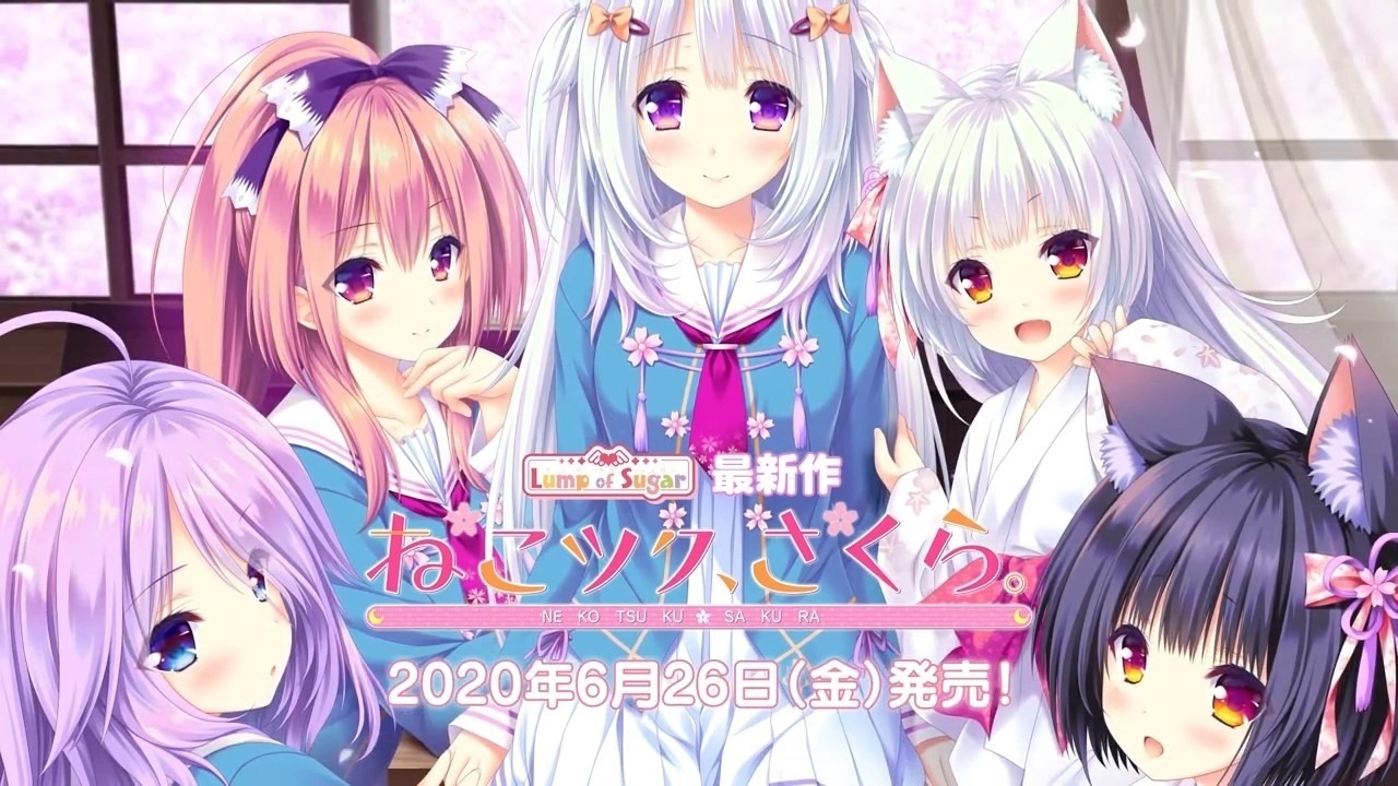 Lump of Sugar 最新作《ねこツク、さくら。》公開宣傳影片 - a1102kevin的創作 - 巴哈姆特