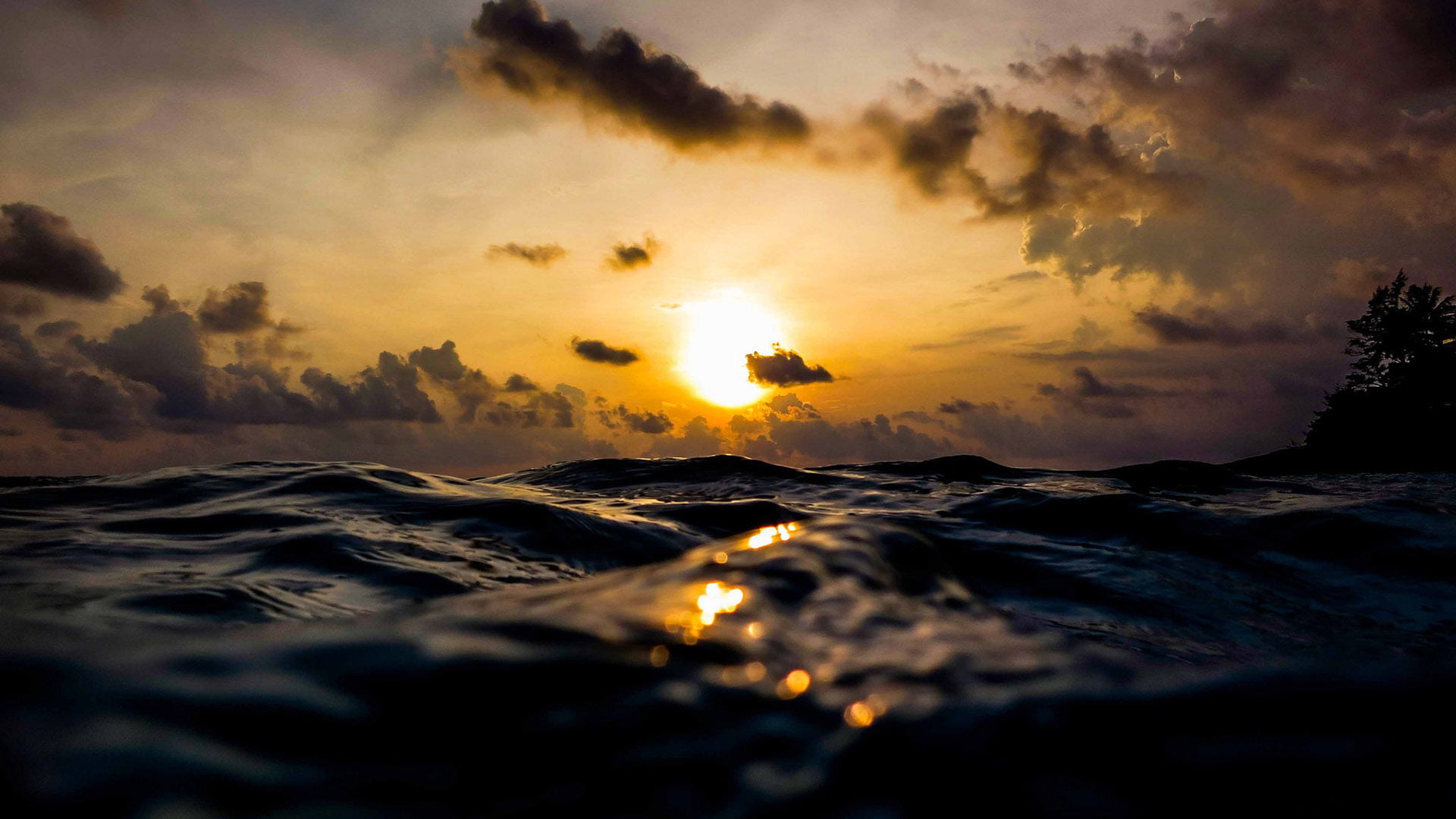 Aimer - wavy flow 風起浪湧｜中日歌詞 - ineggg的創作 - 巴哈姆特