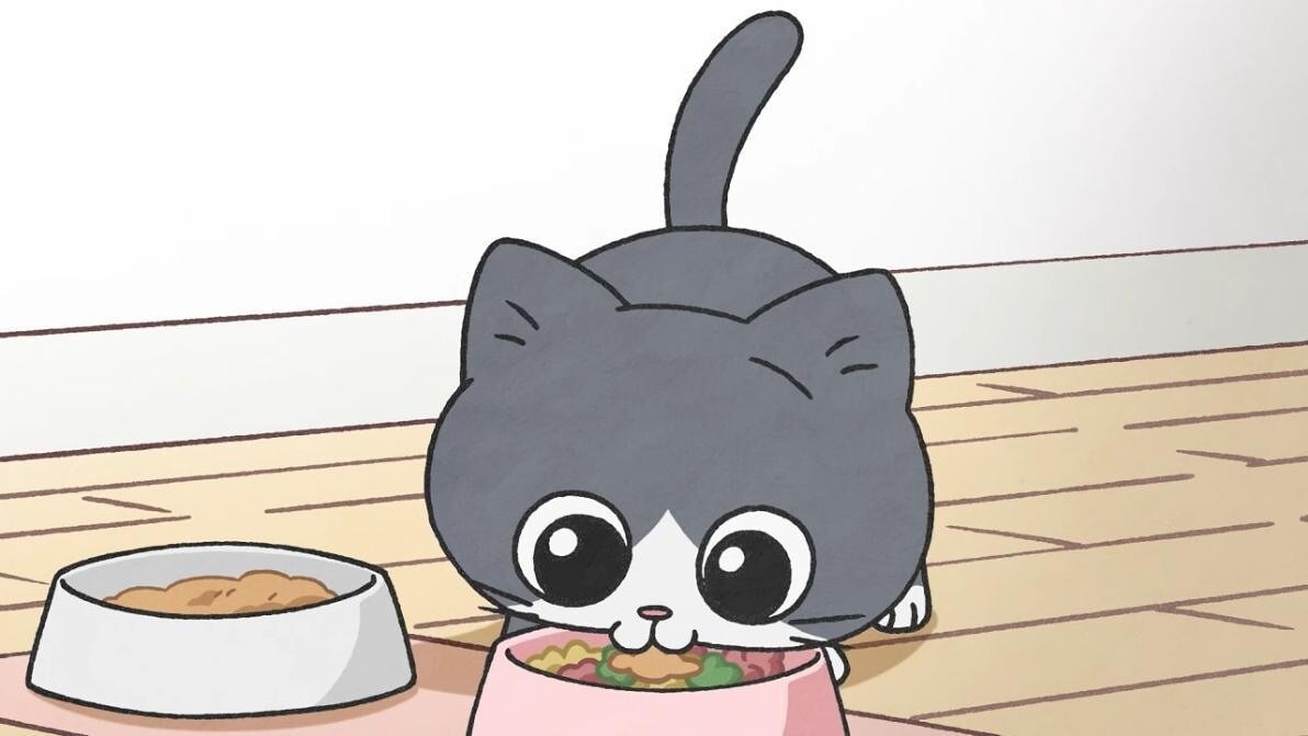 轉生成貓咪的大叔 【35、36、37】觀後感 - ash62646的創作 - 巴哈姆特