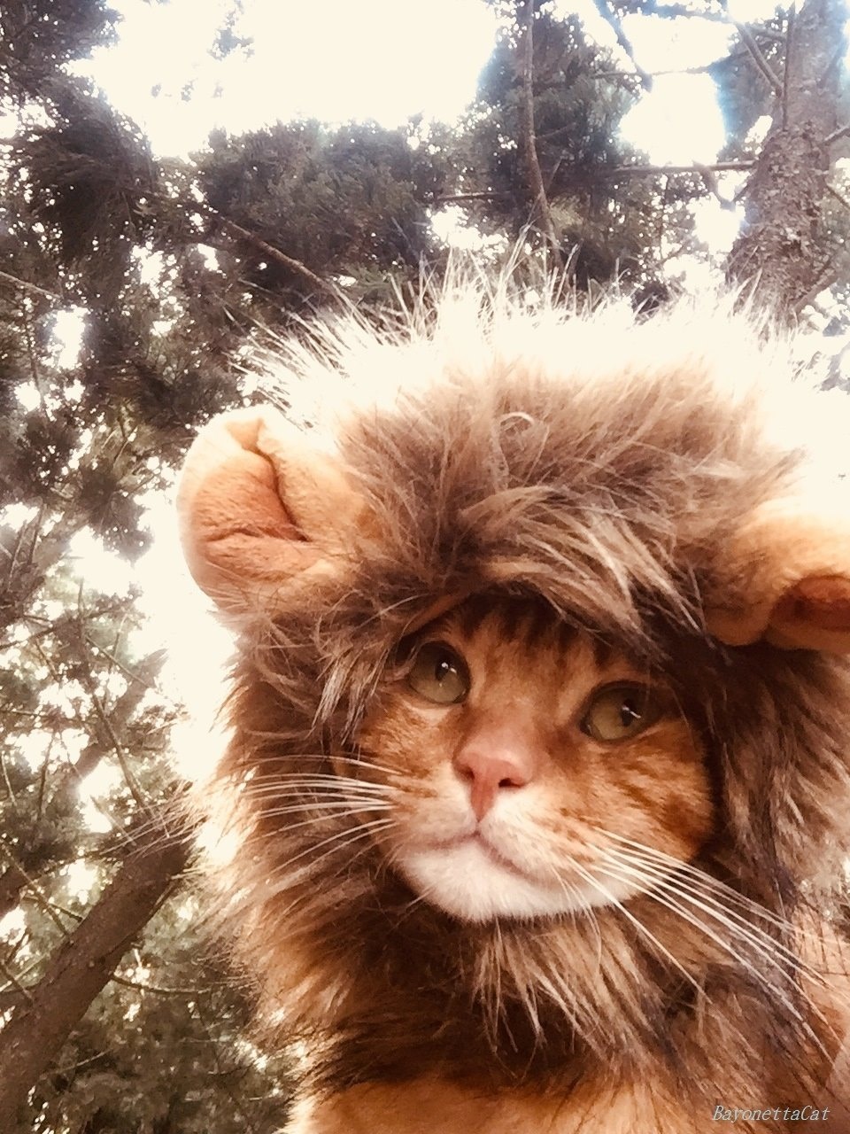 FF35會場Cosplay 募集 - ss2831365的創作 - 巴哈姆特