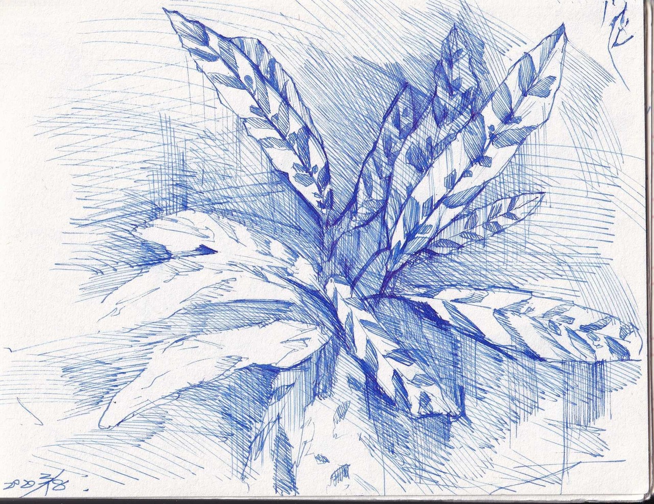 sketch 2020 - t8552753966的創作 - 巴哈姆特